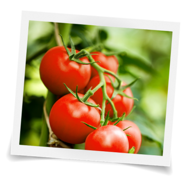 Bonare - Real food. Just like that!